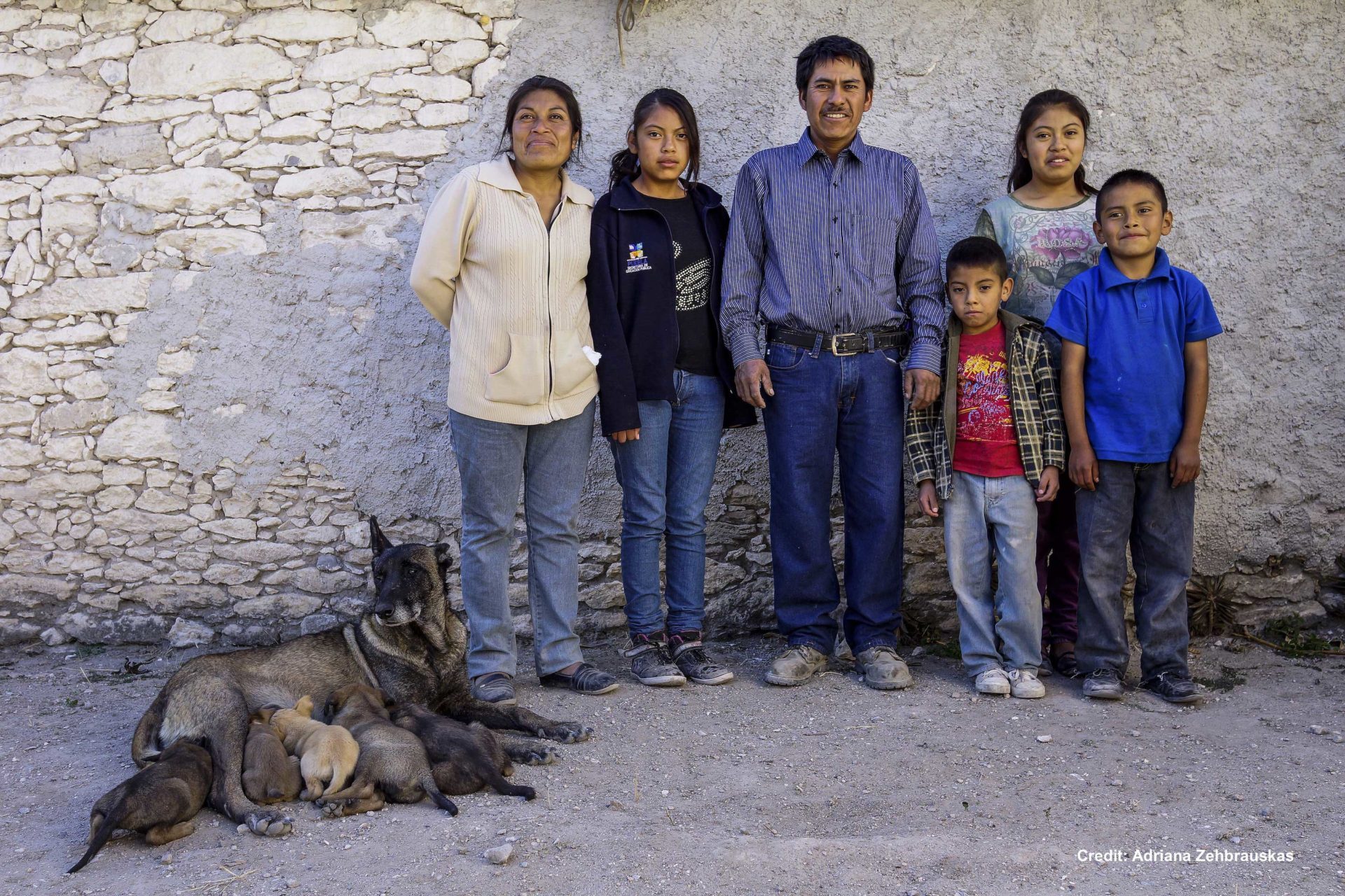 How Do Mexican Households Get by on Less Than US$ 2 a Day? - BFA Global