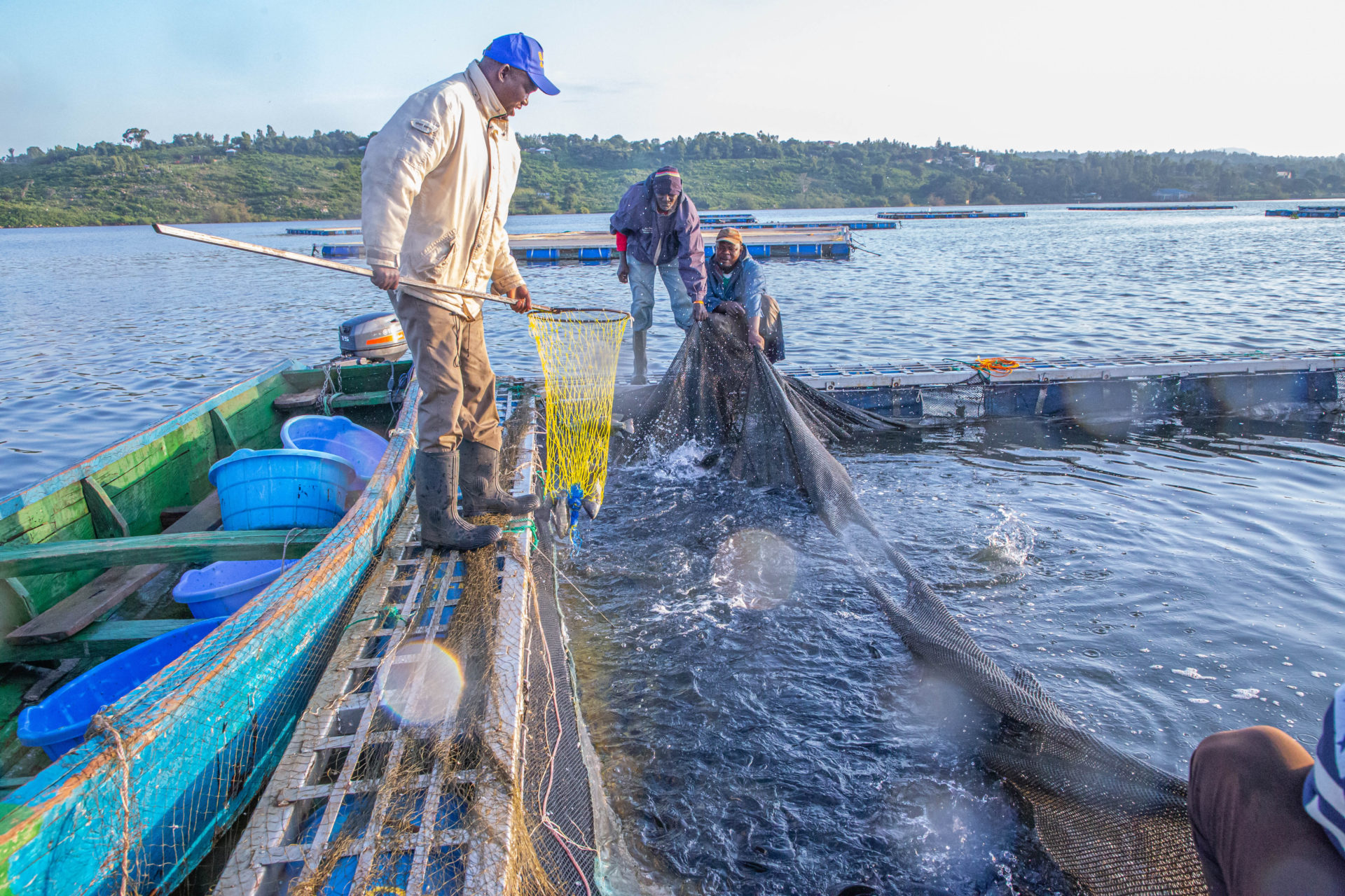 Why we Invested: AquaRech is unlocking the potential of smallholder ...