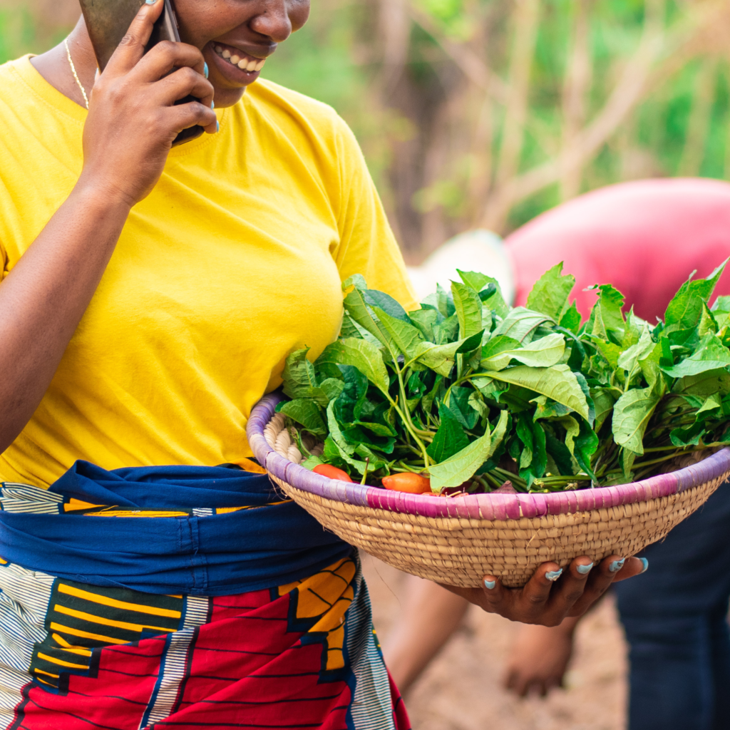 Why we invested: Farm to Feed is creating a digitally-enabled solution ...