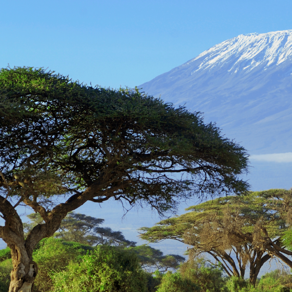 Why we invested: Octavia Carbon is the Global South’s first Direct Air ...