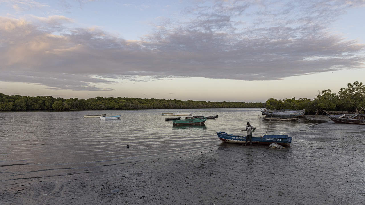 Diani Blue Wave - BFA Global